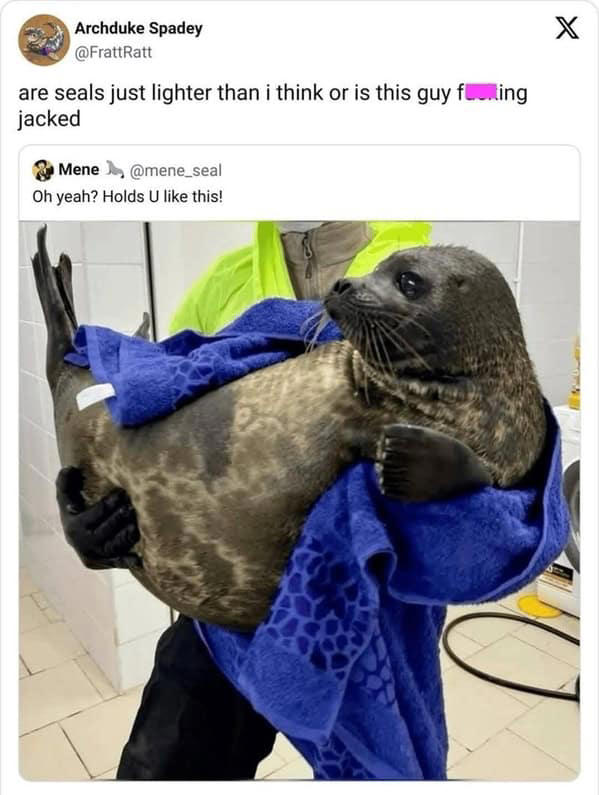 40 Funny Animal Memes That’ll Have You Howling With Laughter (February ...