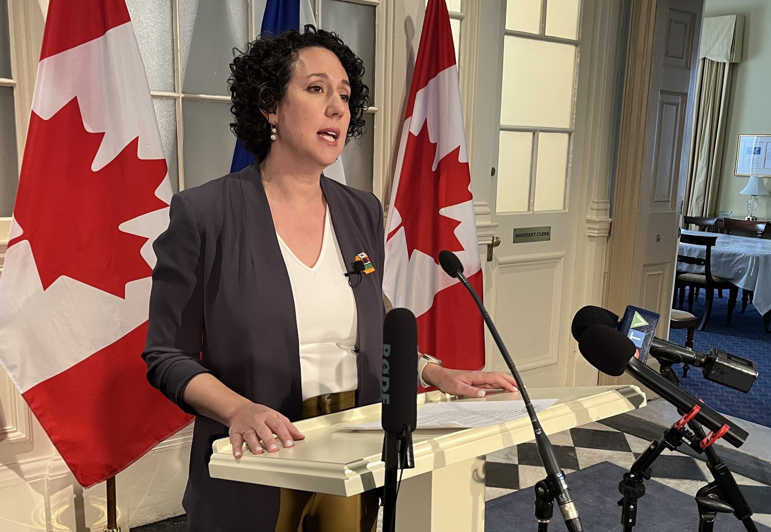 N.S. government yet to reveal tariff-mitigation plan: NDP