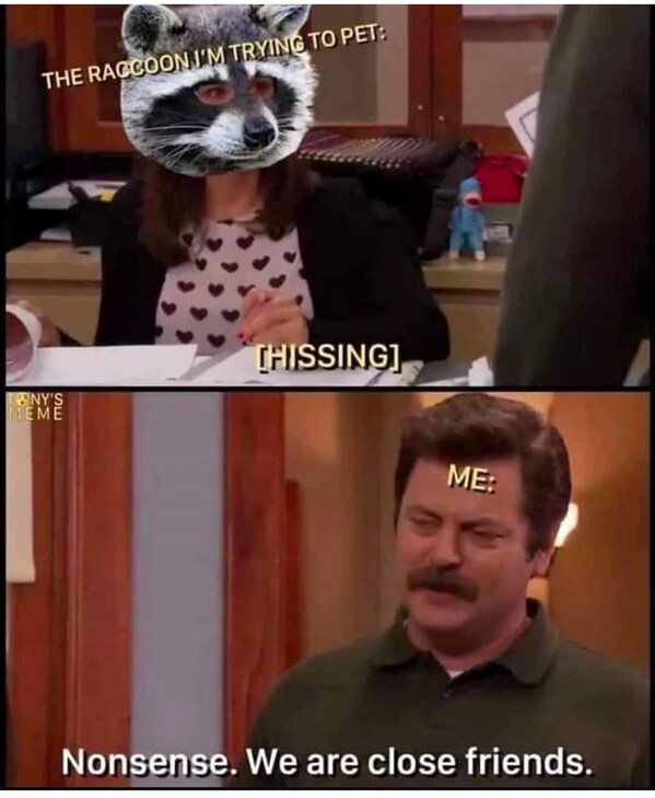 40 Funny Animal Memes That’ll Have You Howling With Laughter (February ...