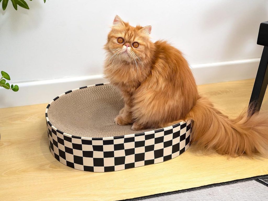 This Cat Scratcher Has No Business Being This Cute - MacKenzie-Childs ...