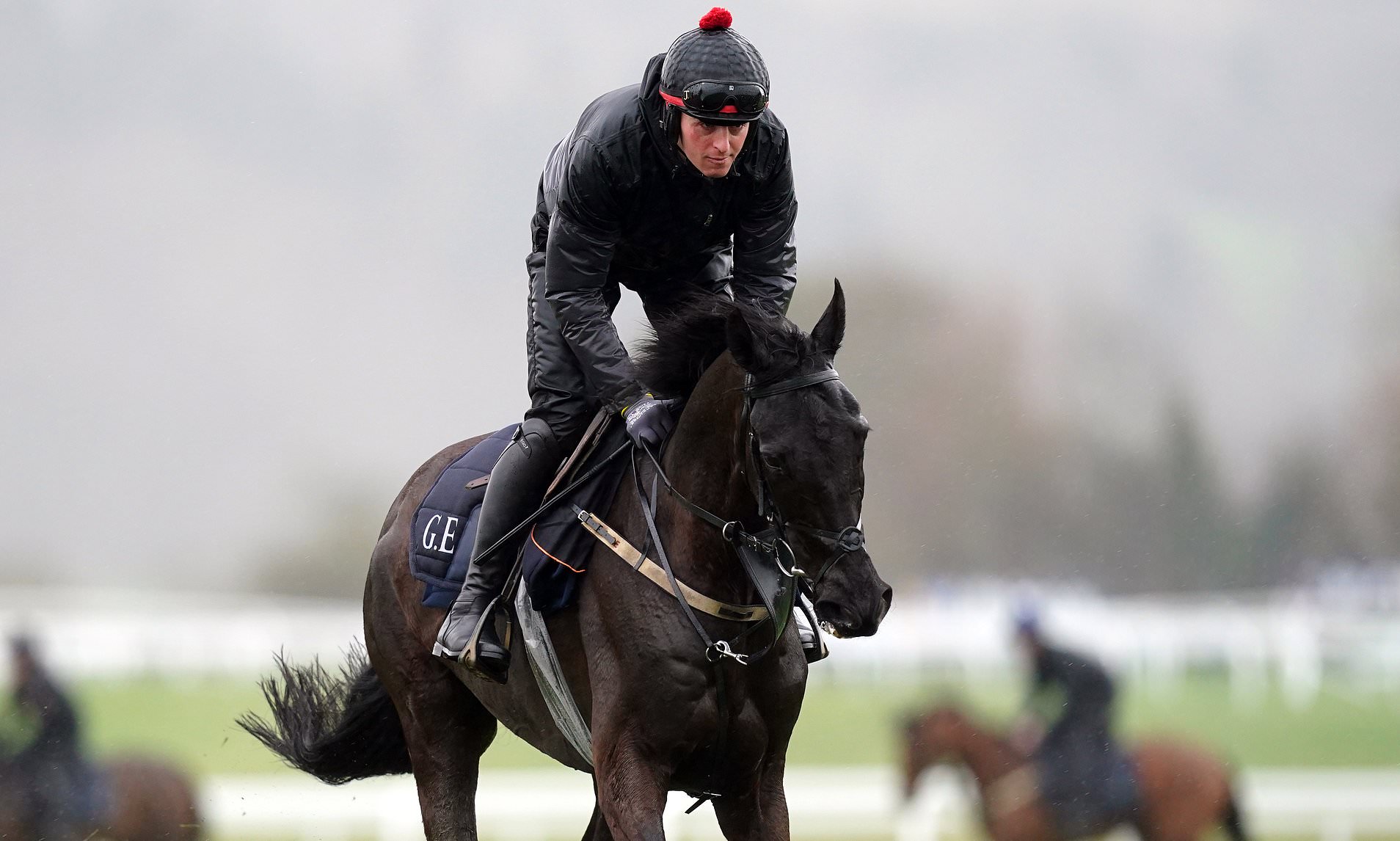 Delta Work dead: Legendary three-time Cheltenham winner and Grand ...