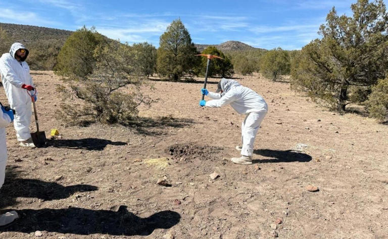 Retoman trabajos en “El Willy”, Chihuahua; hallan restos óseos que podrían corresponder a seis ...