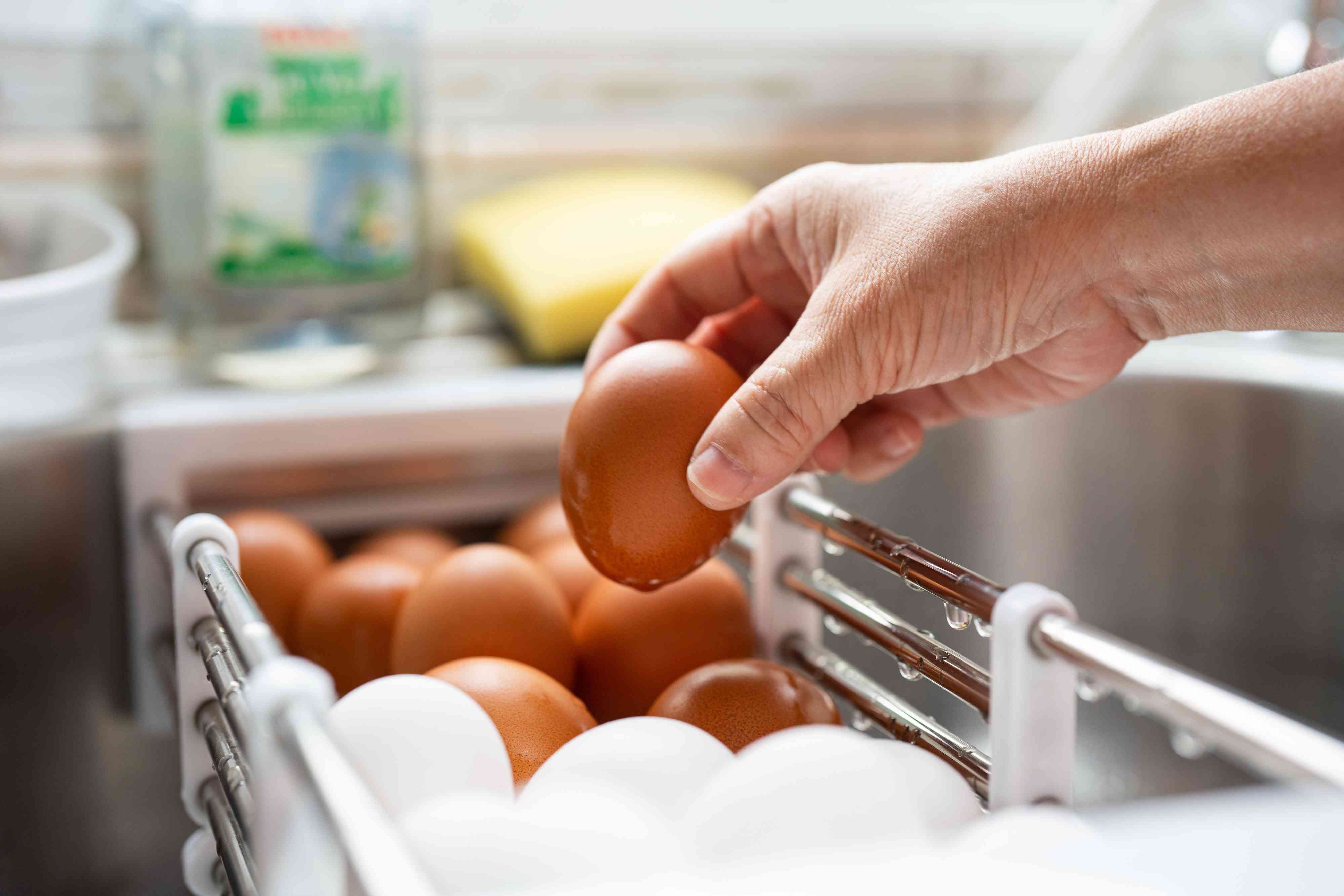 Brown vs. White Eggs: Is One Healthier Than the Other?