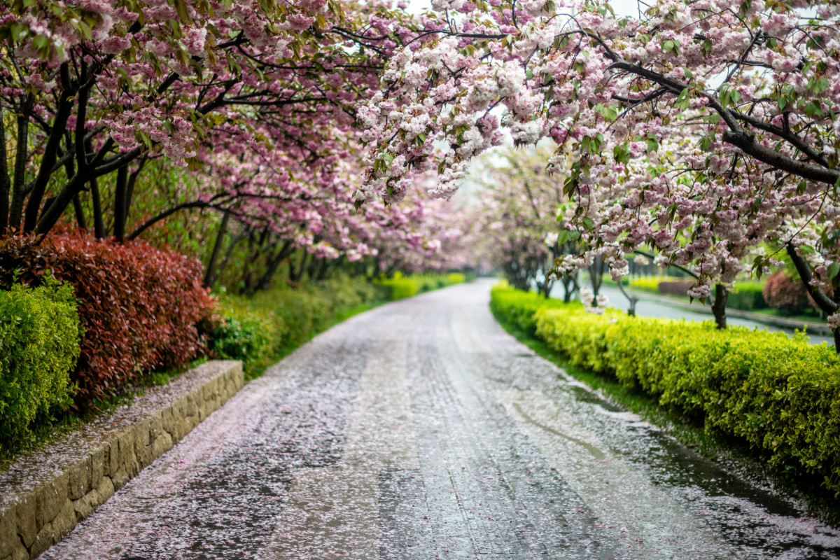 8 Spring 2025 Weather Predictions from the Farmer's Almanac