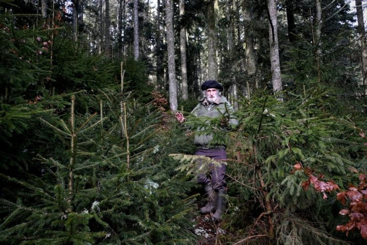 « On ne se laissera pas faire ! » Dans cette région, les chasseurs sont accusés de… ne pas chasser