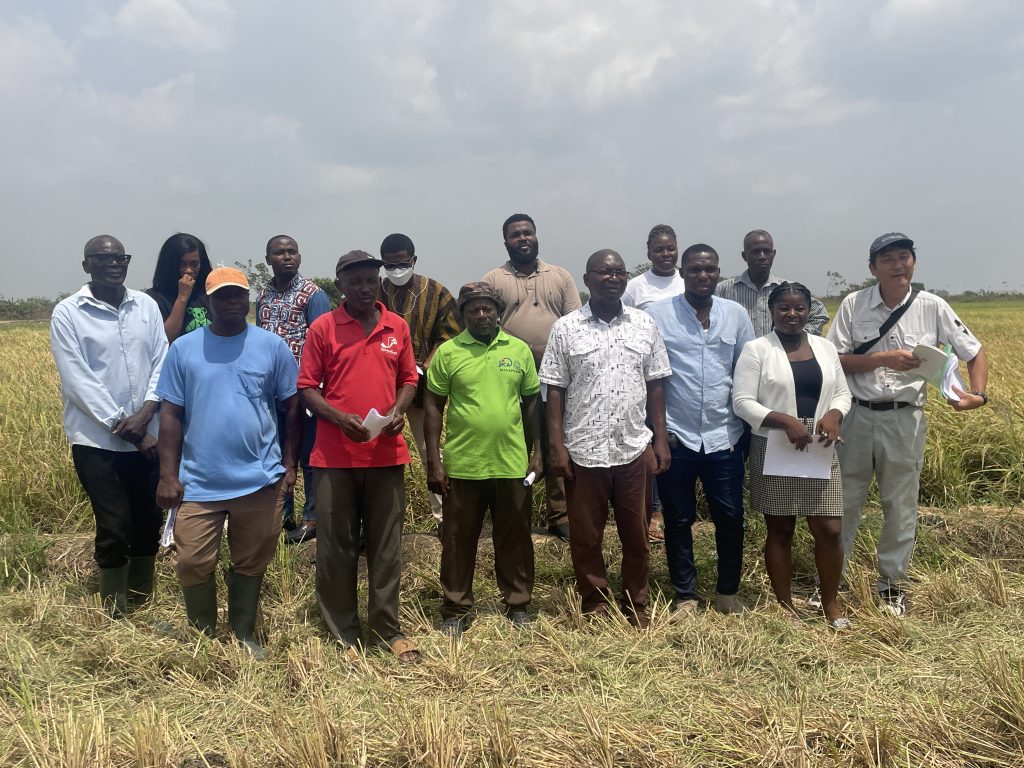 JICA commits to supporting Ghana to increase domestic rice production