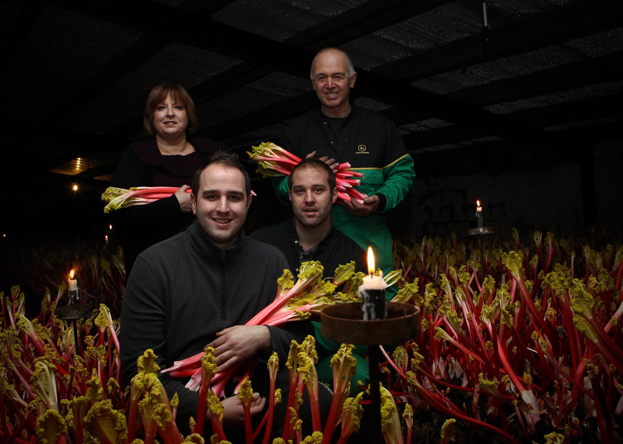 The Rhubarb Triangle: Inside the heart of Wakefield's beloved pink ...