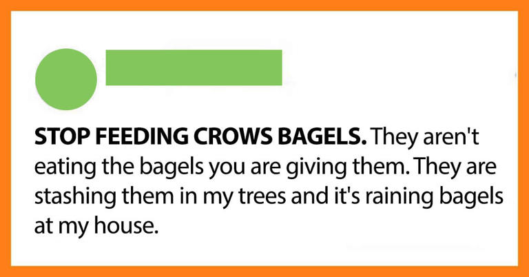 36 Funny Nextdoor Posts That'll Make You Rethink Knowing Your Neighbors