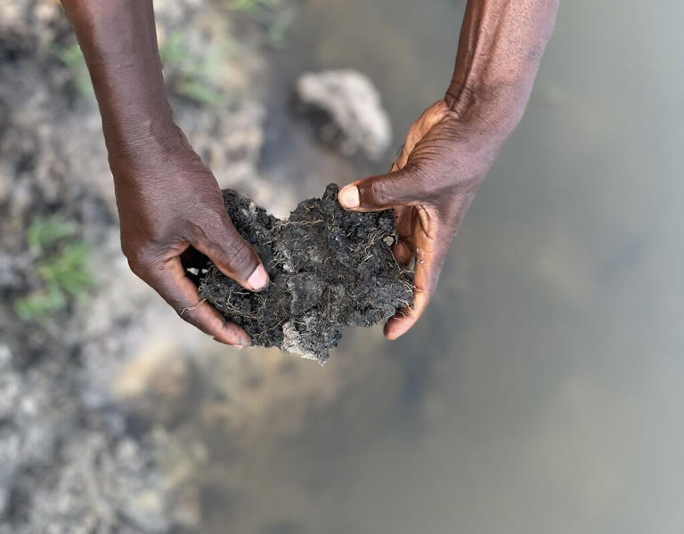 Documents, satellite data expose ongoing pollution near TotalEnergies ...