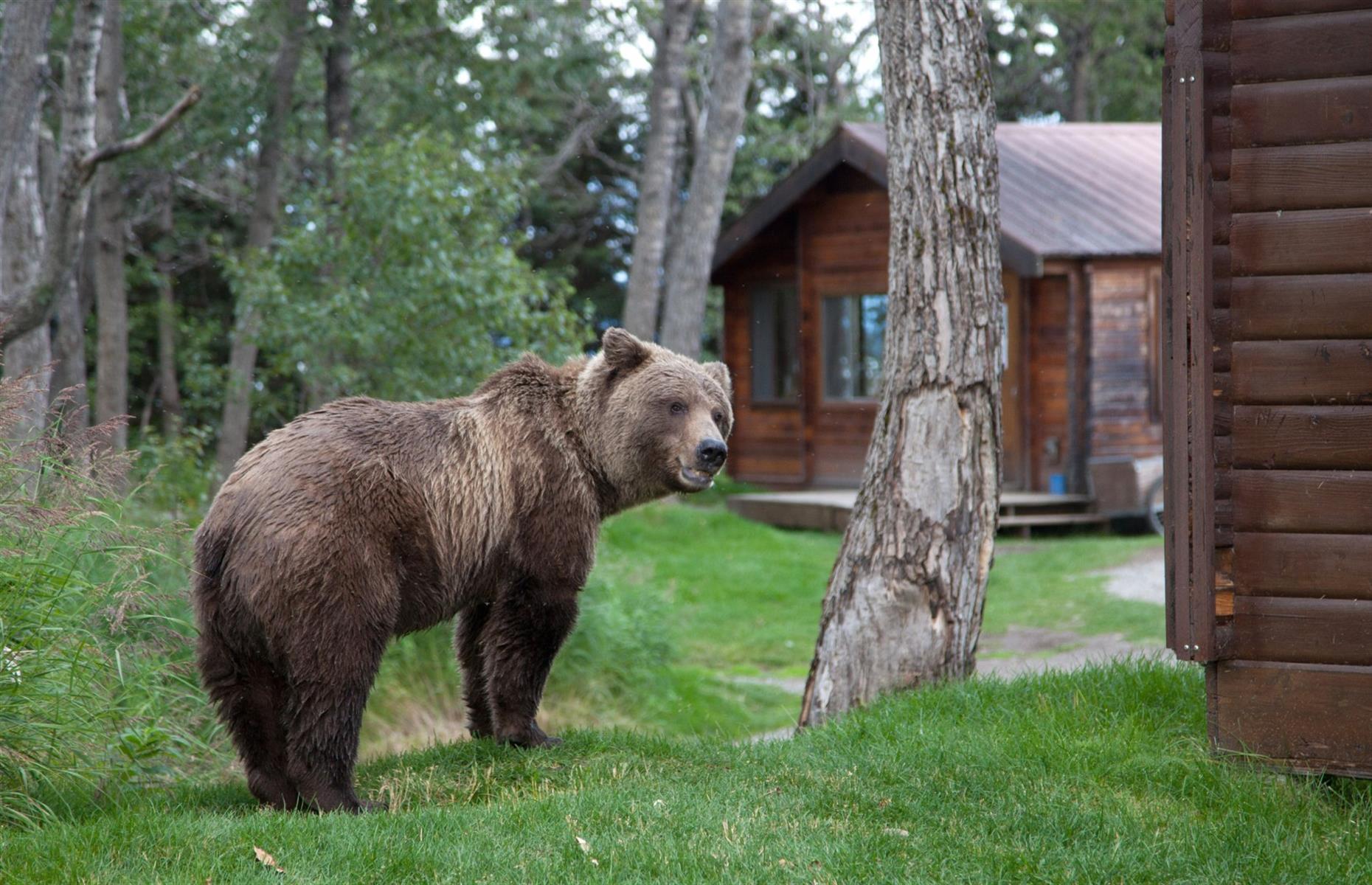 See America's top bucket-list hotel across every state
