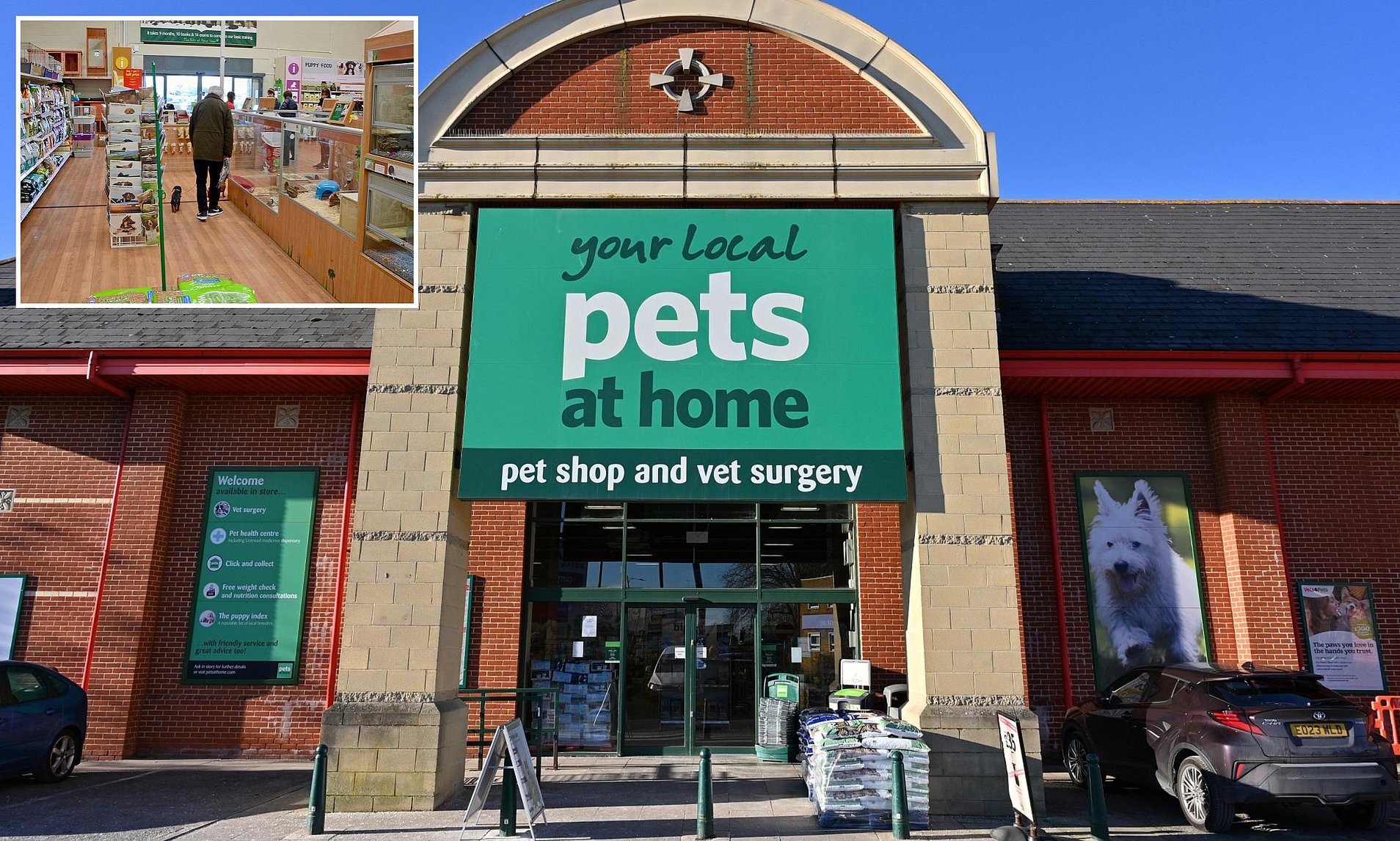 Pets At Home forced to STOP selling animal over infection fears