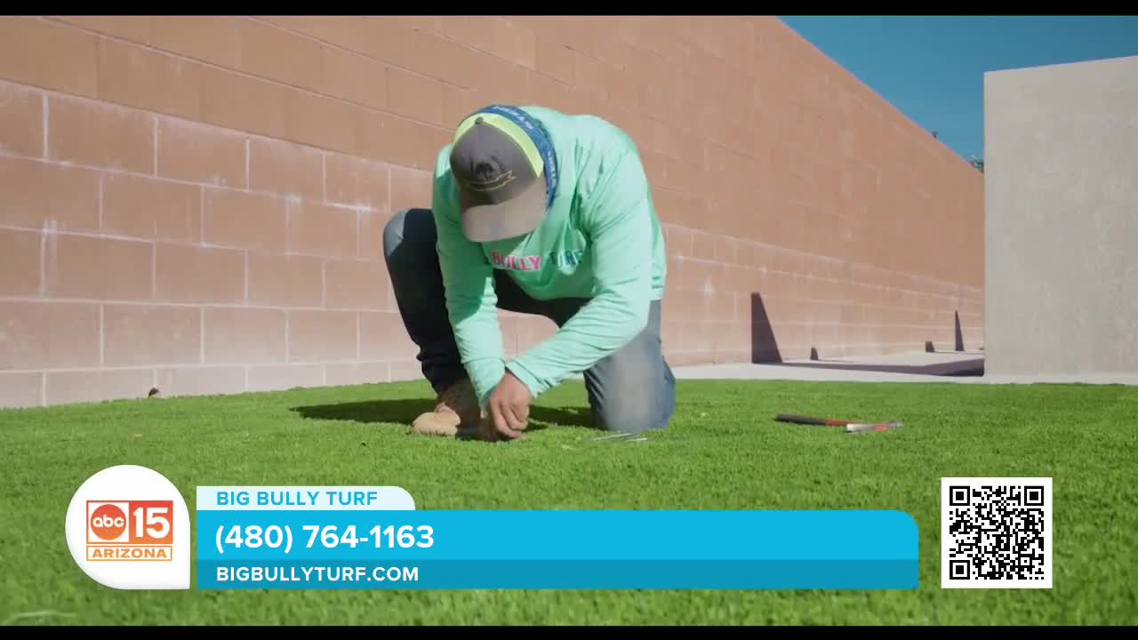 Big Bully Turf can give you an outdoor space that makes your neighbors ...
