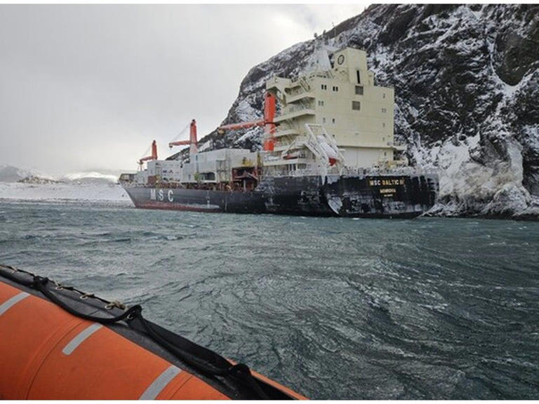 Making inroads: Salvage crew may fix up old road to better access ...