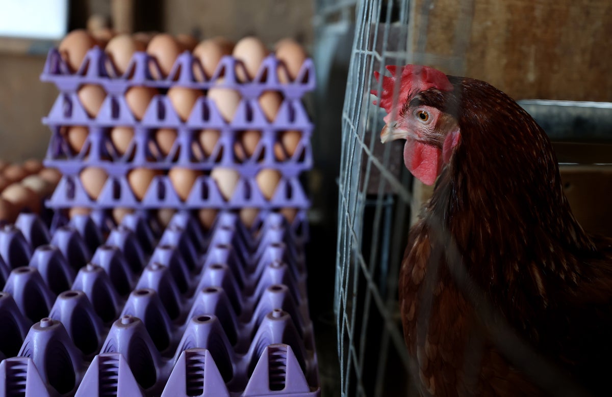 Senators from both parties demand Trump administration take action ...