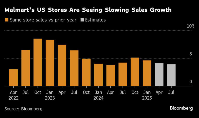 Walmart Profit Forecast Falls Short on Slowing Growth