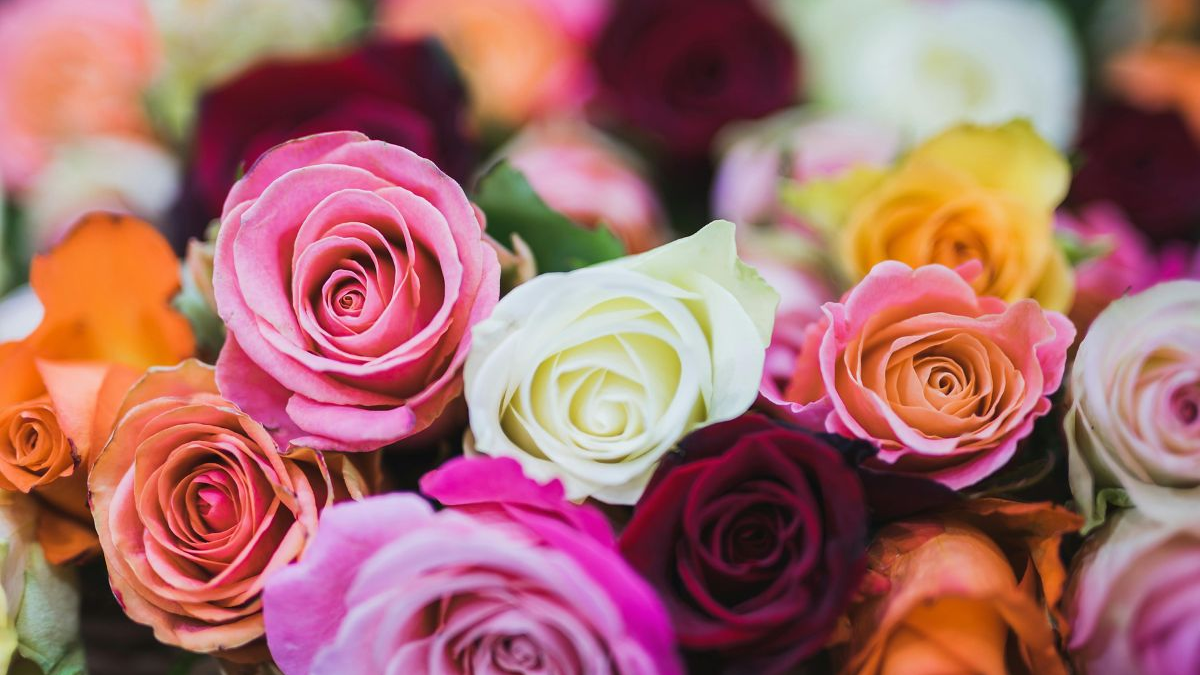 The Psychological Meaning Behind Giving Flowers to a Man and His Rejection