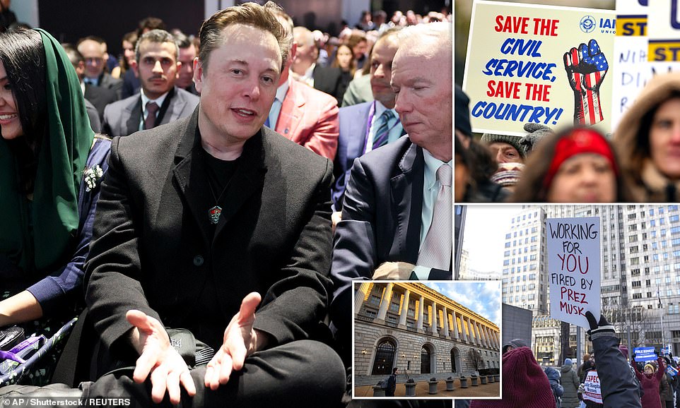 Carnaval 2025: As rainhas de bateria do Rio e São Paulo - Quem é o Rei?