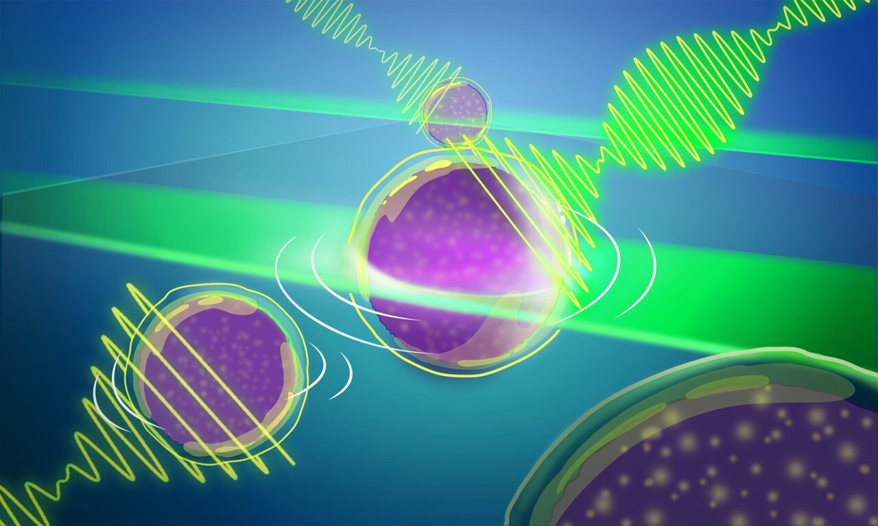 Pushing the limits of 'custom-made' microscopy: 3-D imaging of light ...