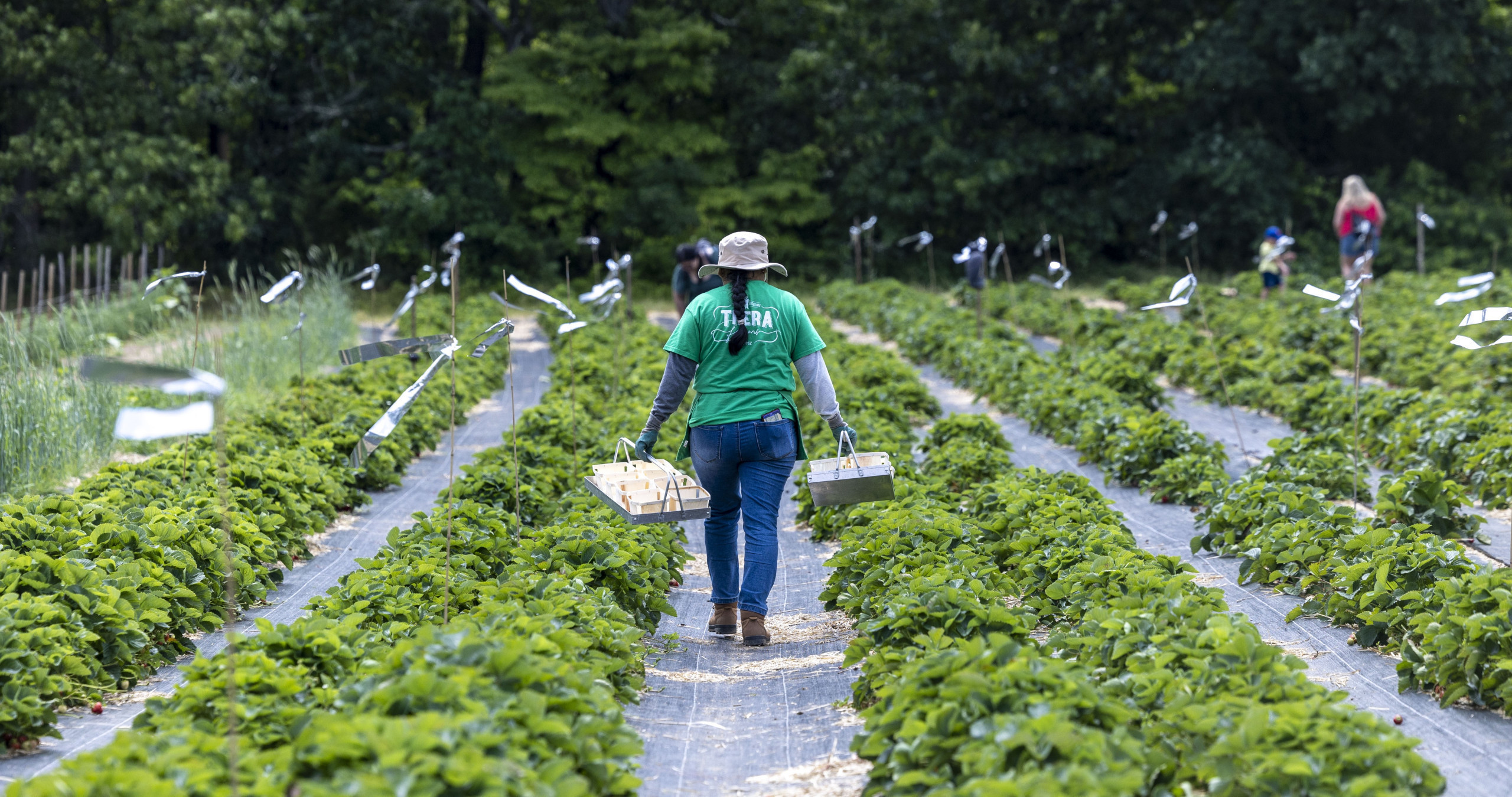 Debunking the most popular myths about sustainability