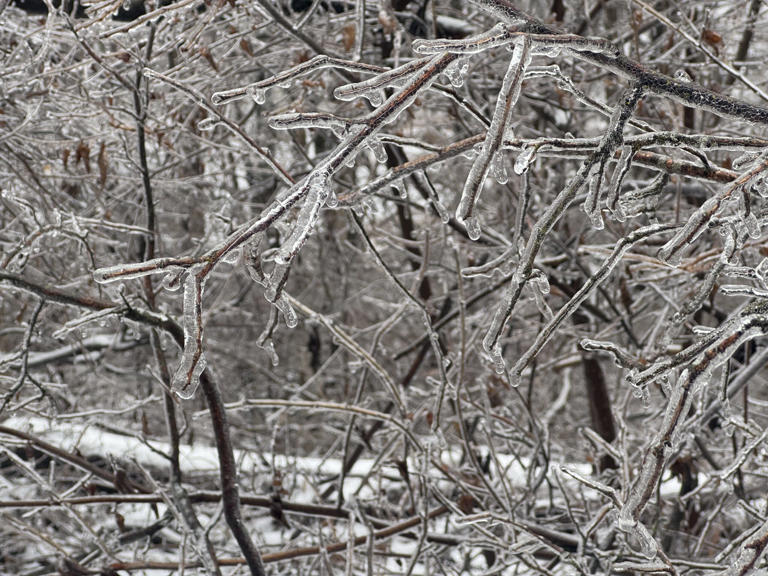 Reprieve from the cryogenic assault this weekend into next week!