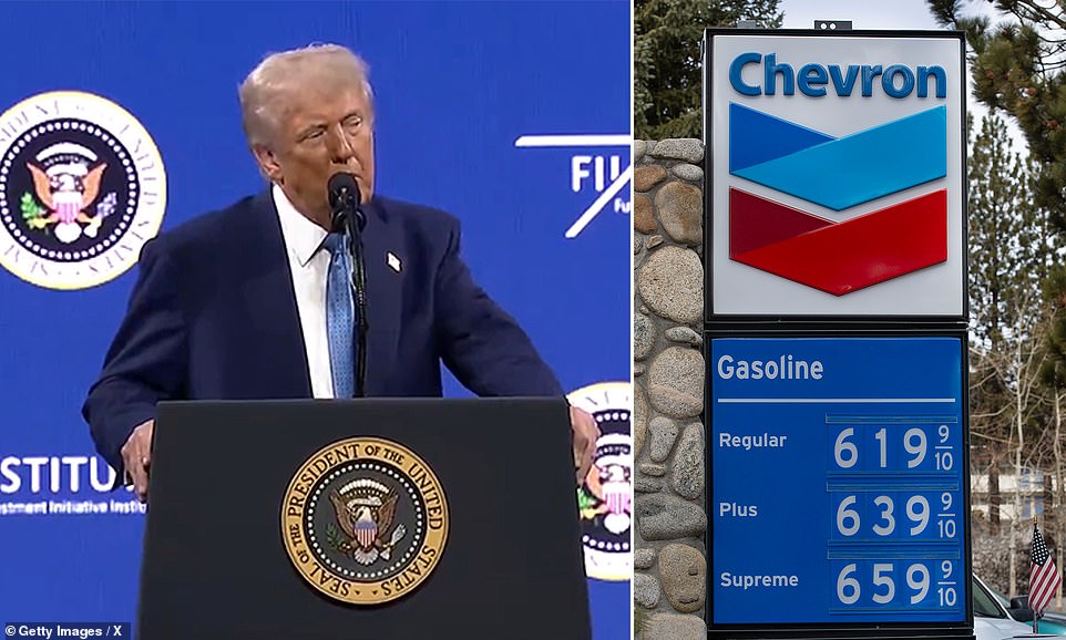 Trump launches plan to reduce rising gas prices