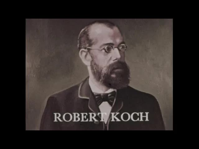 Smallpox Vaccination: Edward Jenner's Revolutionary Discovery