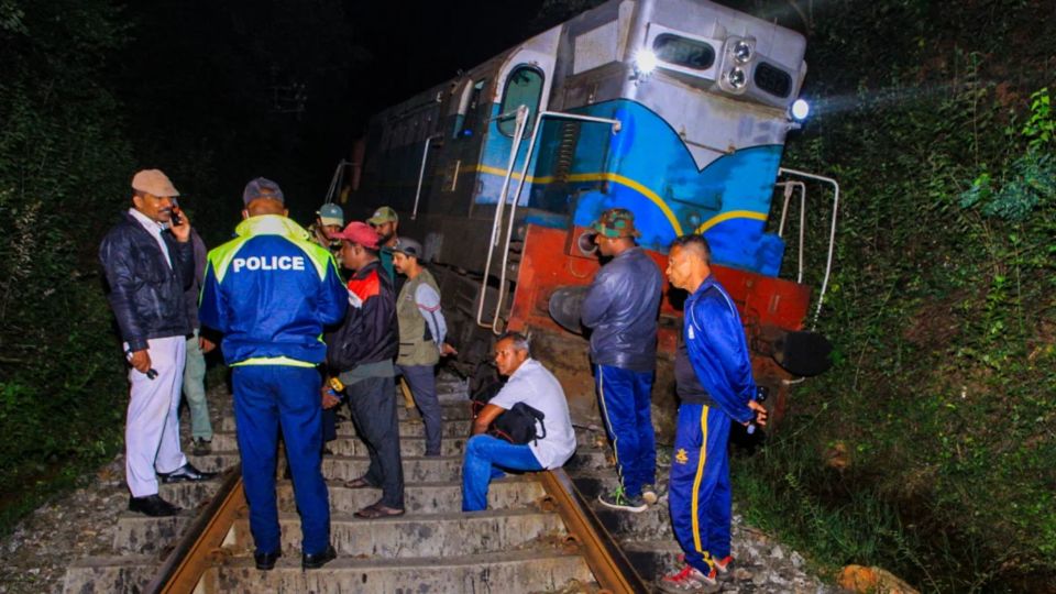 Mueren al menos 6 elefantes luego de que un tren chocara con una manada ...
