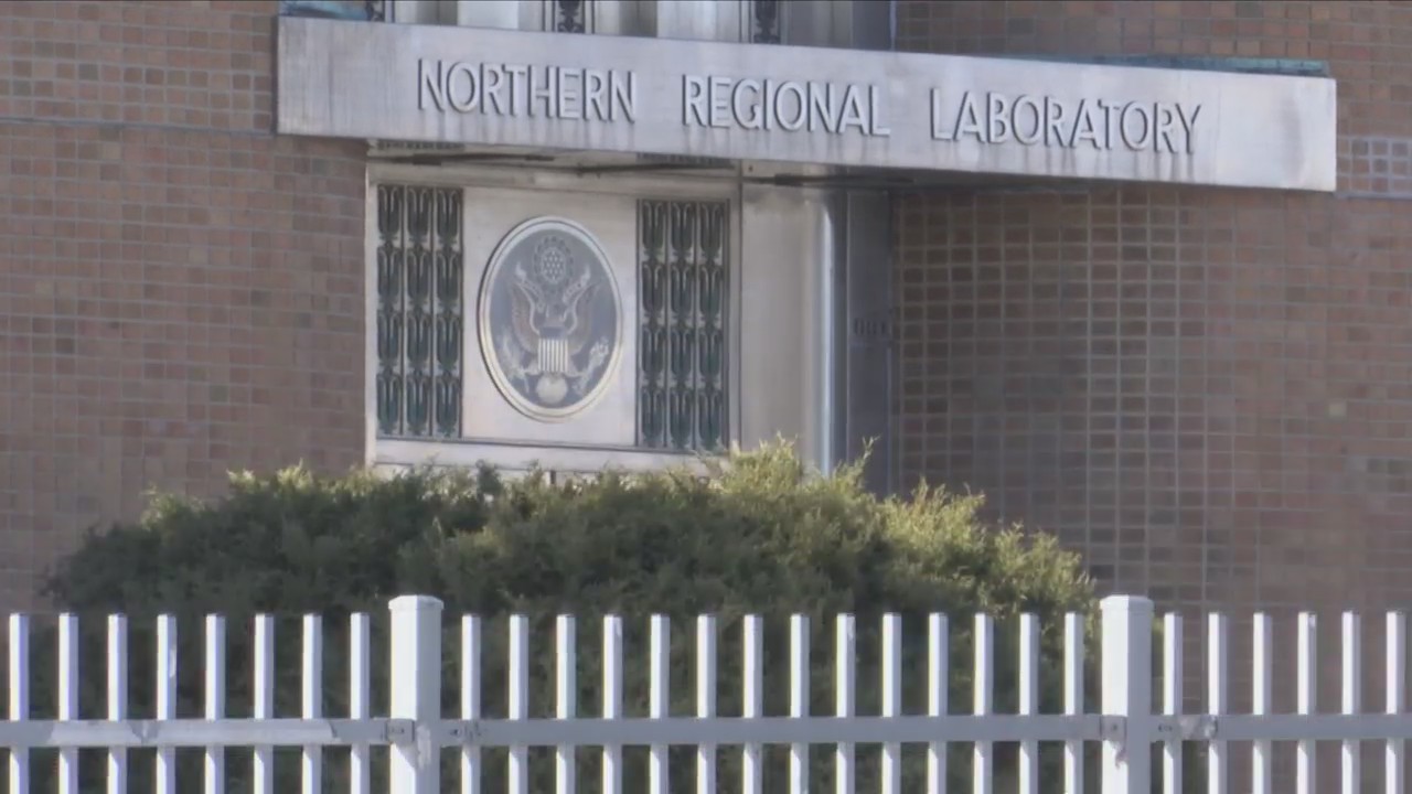 'Punch to the gut': Ag Lab scientist describes how it felt to be laid off