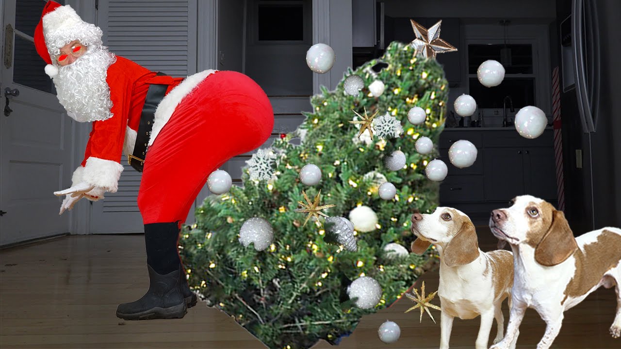 Clever Dogs Defeat Evil Twerking Santa in Hilarious Prank
