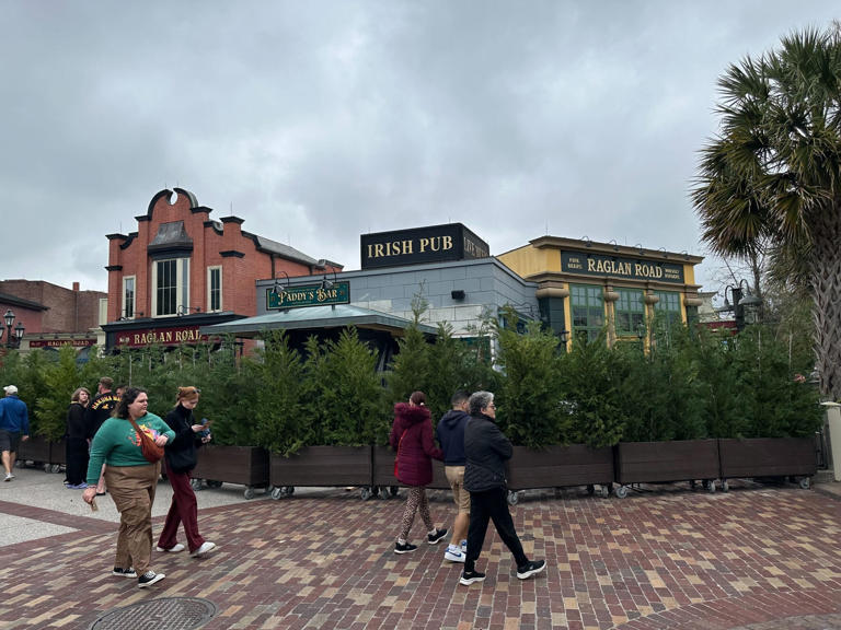 Construction Walls Removed, Shrubs Surround New Walk-Up Bar at Raglan ...
