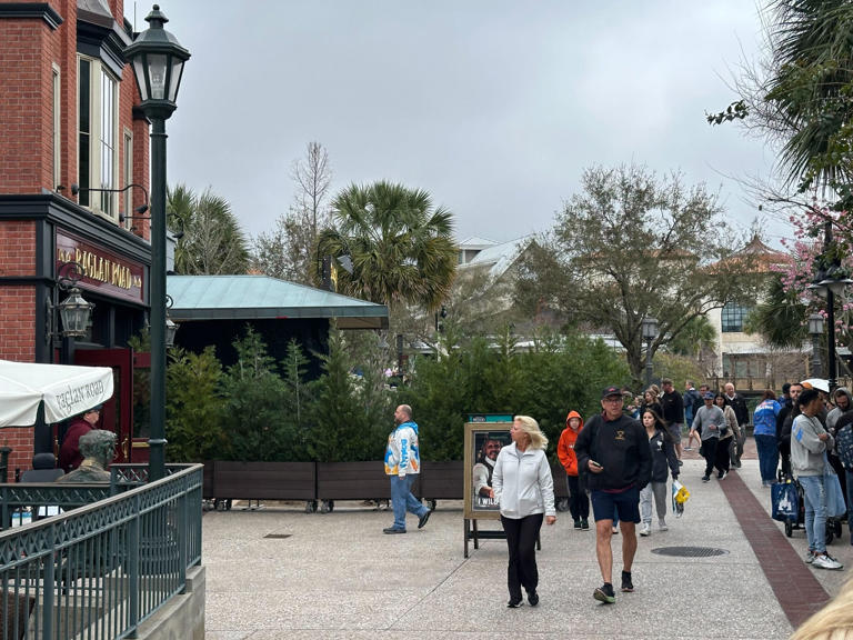 Construction Walls Removed, Shrubs Surround New Walk-Up Bar at Raglan ...