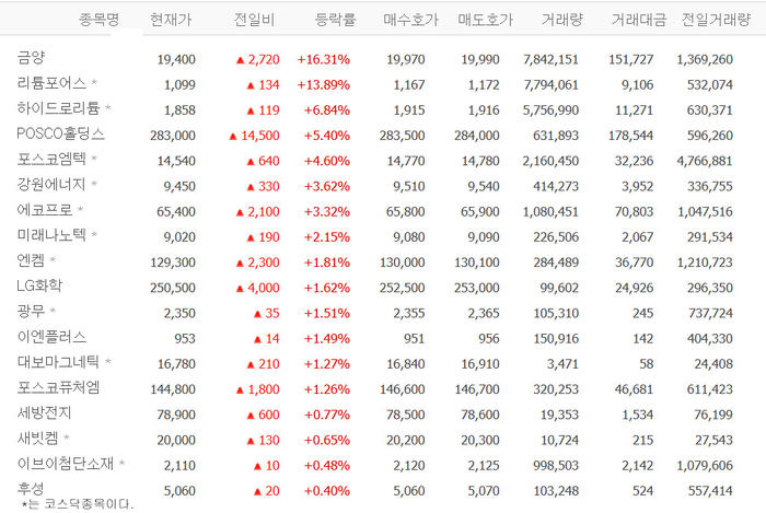 리튬포어스·금양 급등 배경posco홀딩스·에코프로 등 리튬株 강세