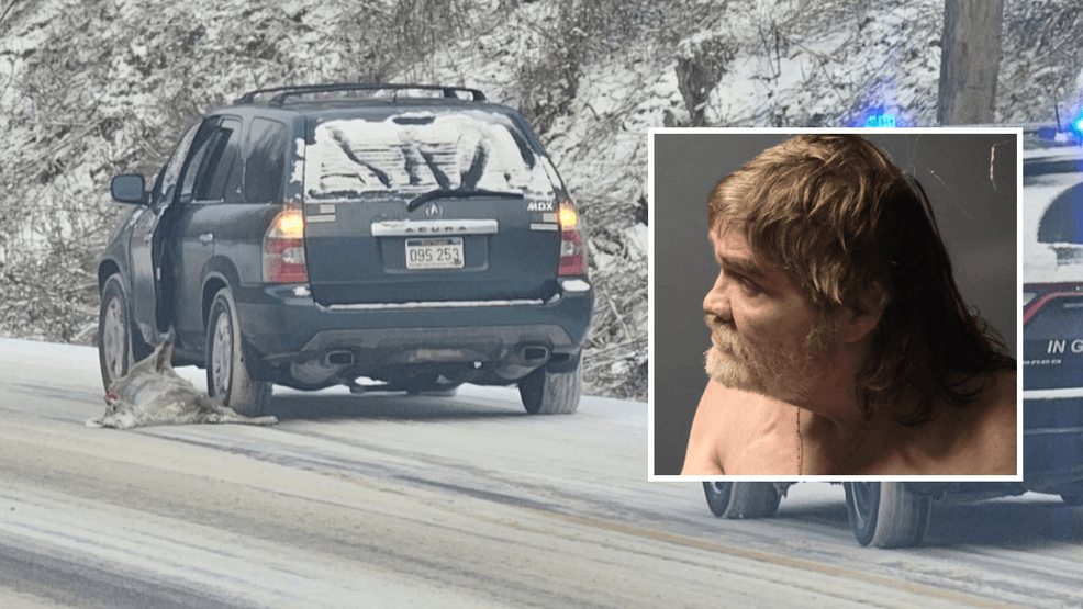 West Virginia man accused of fleeing police with dead deer, deputies say