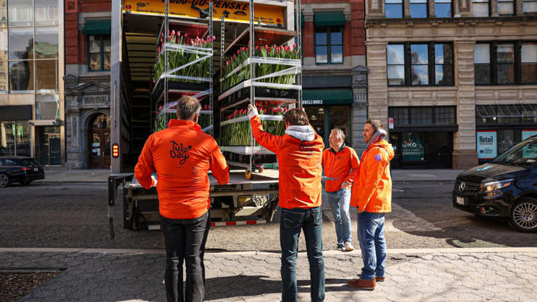 More than 150,000 colorful tulips expected in Union Square Sunday