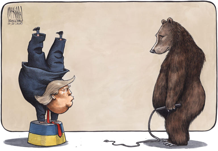 BRUCE MacKINNON CARTOON: On balance, not a stable genius