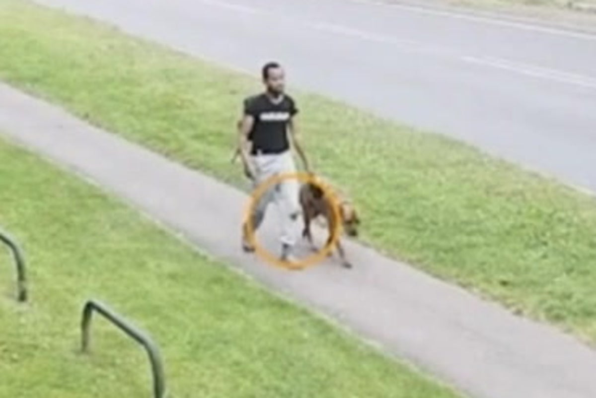 Murderer casually walks dog moments after stabbing 19-year-old mother ...