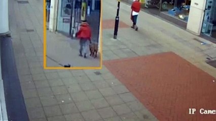 Murderer casually walks dog moments after stabbing 19-year-old mother ...