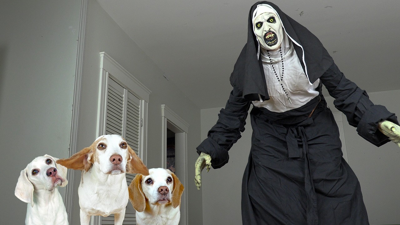 Dogs stay brave against giant ghost nun