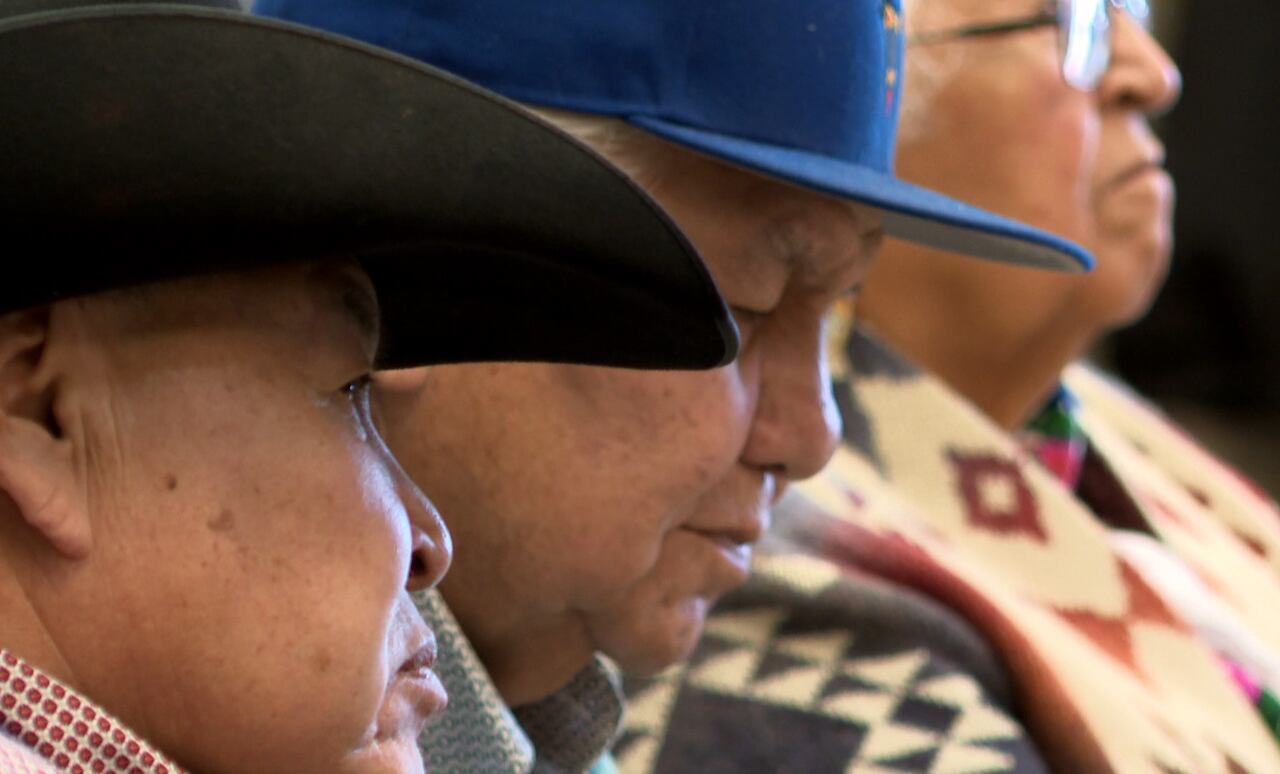 Alberta First Nations elders say they weren't properly consulted on new ...