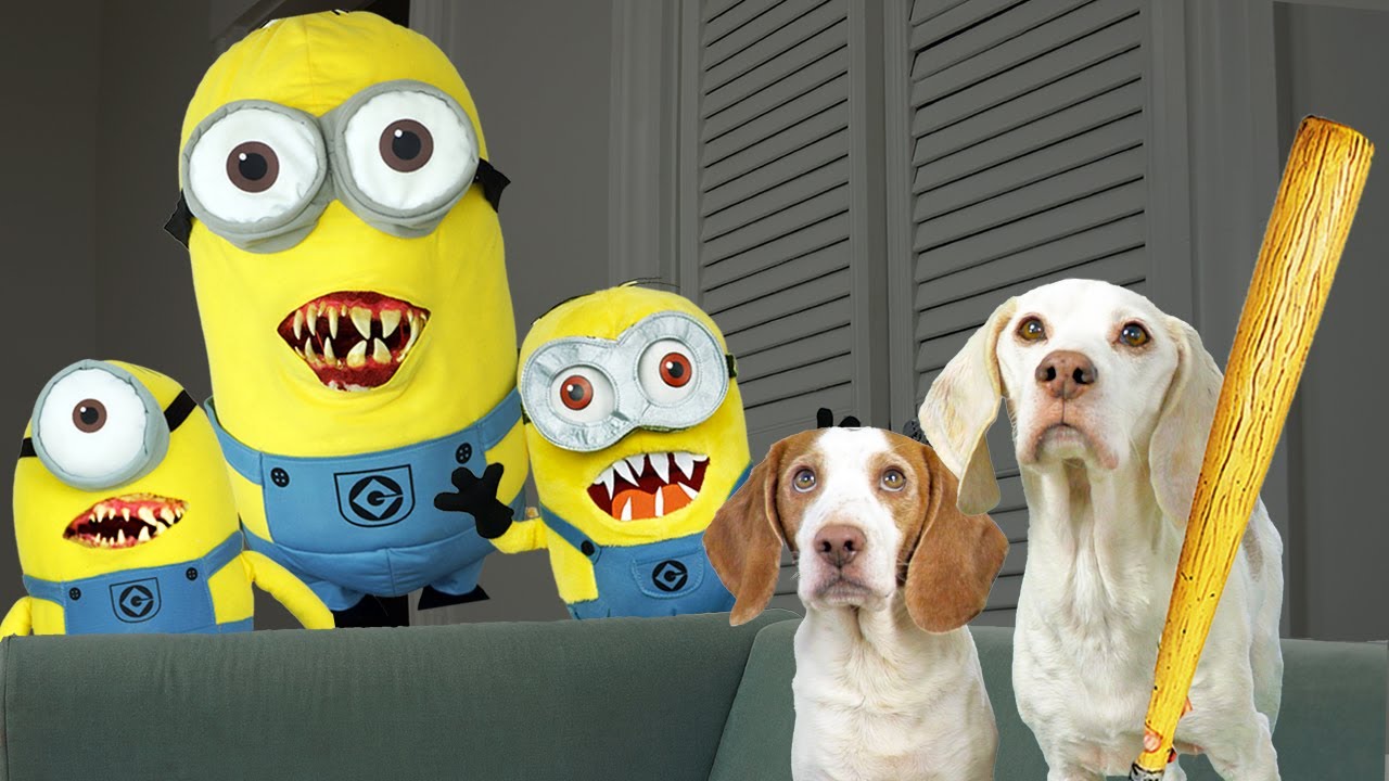 Dogs battle evil minions in real life adventure