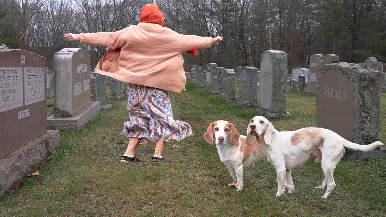 Dogs uncover true identity of Serbian dancing lady