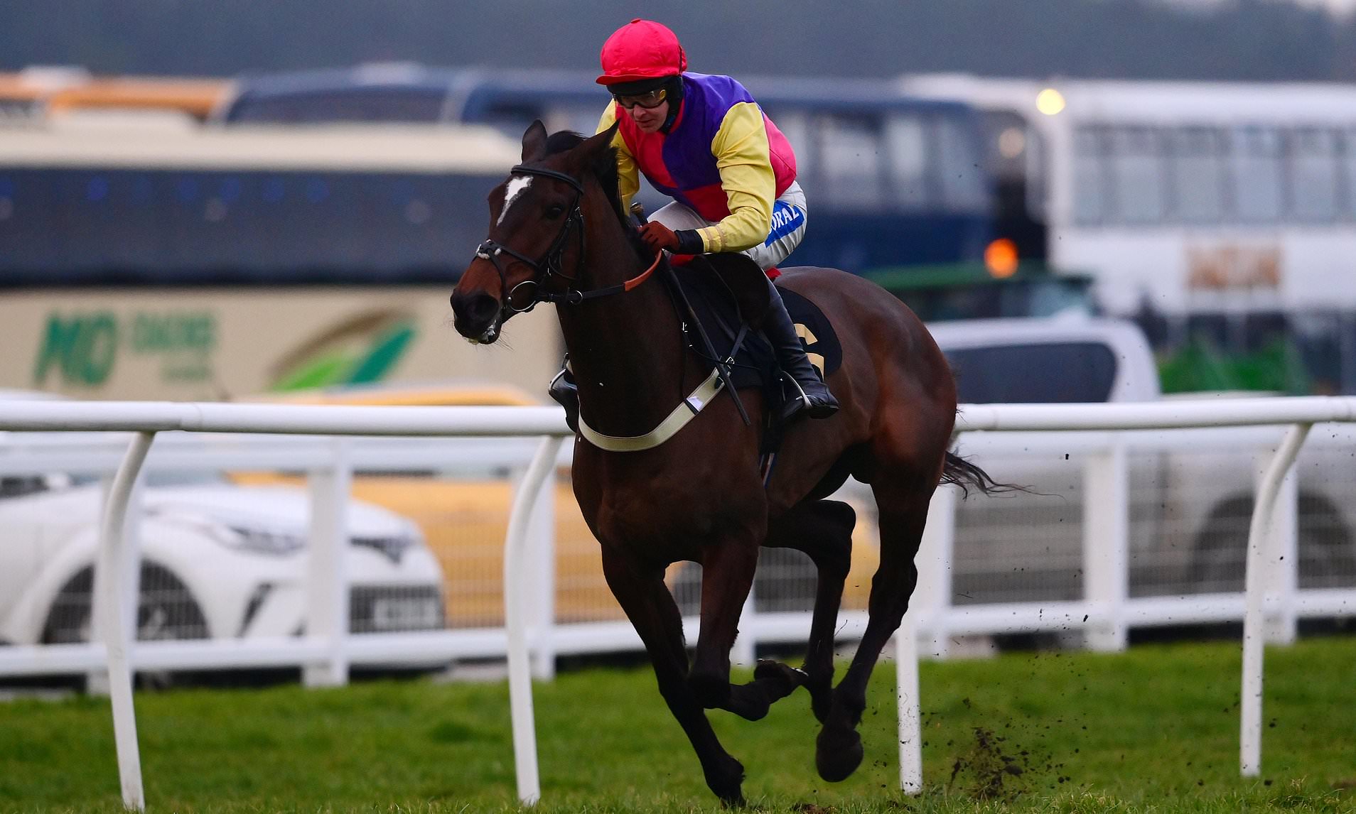 Robin Goodfellow's racing tips: Best bets for Friday, February 21