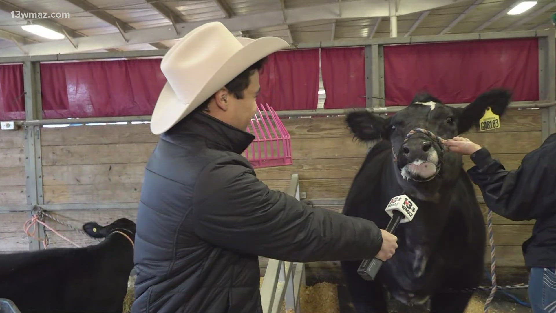 Georgia National Rodeo and Stock Show preview