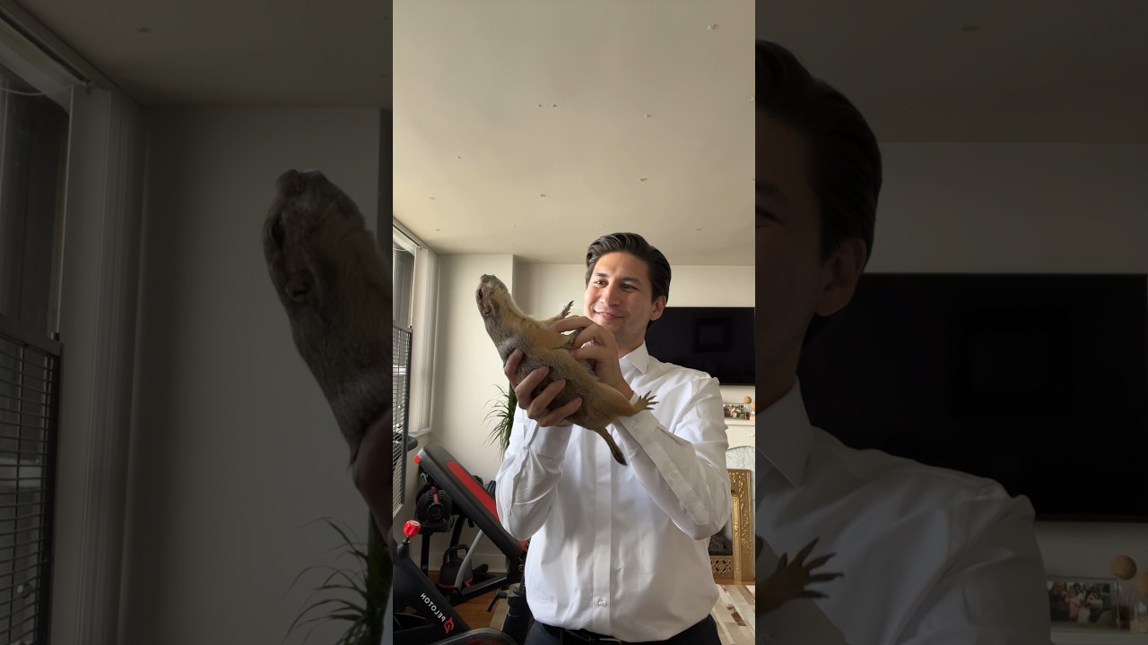 Prairie dog cheers with a joyful yahoo