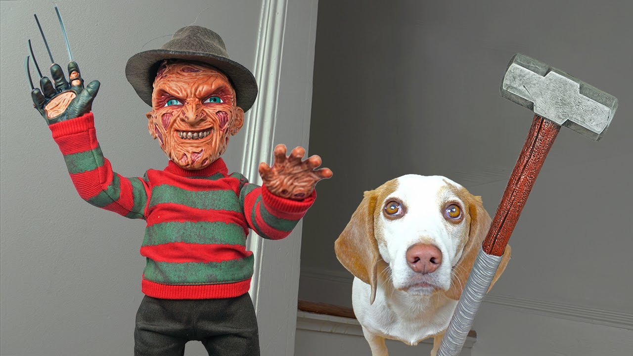 Dogs handle little Freddy Krueger in epic prank