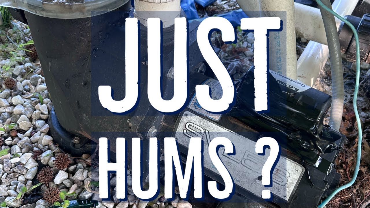 Pool Pump Humming or not starting easy fix! Even if your pool pump is ...