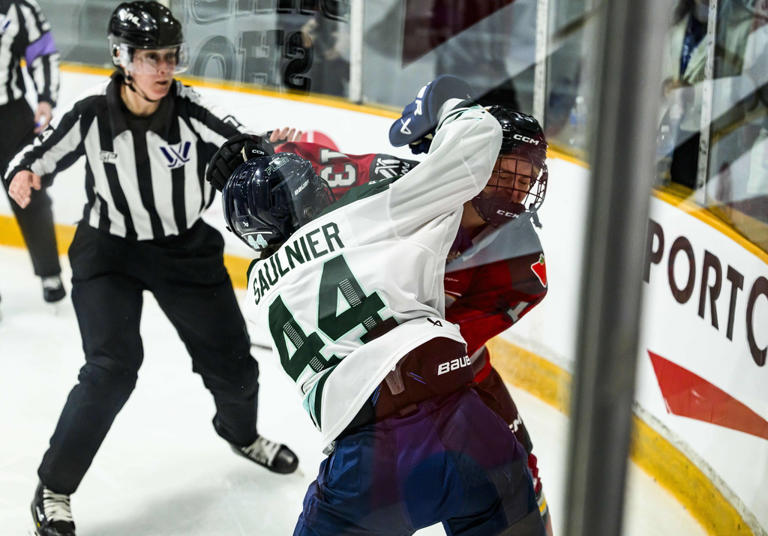 Susanna Tapani scores in overtime to give the Boston Fleet a 3-2 win ...