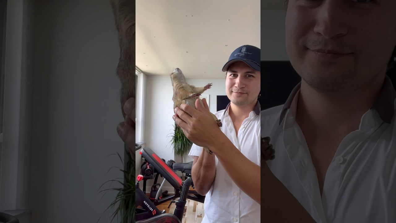 Poppy’s Delayed Wahoo Moment: Don’t Miss This