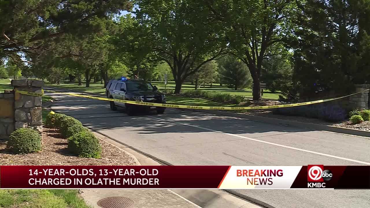 Teen sentenced to 20 years for role in deadly shooting in Olathe's ...