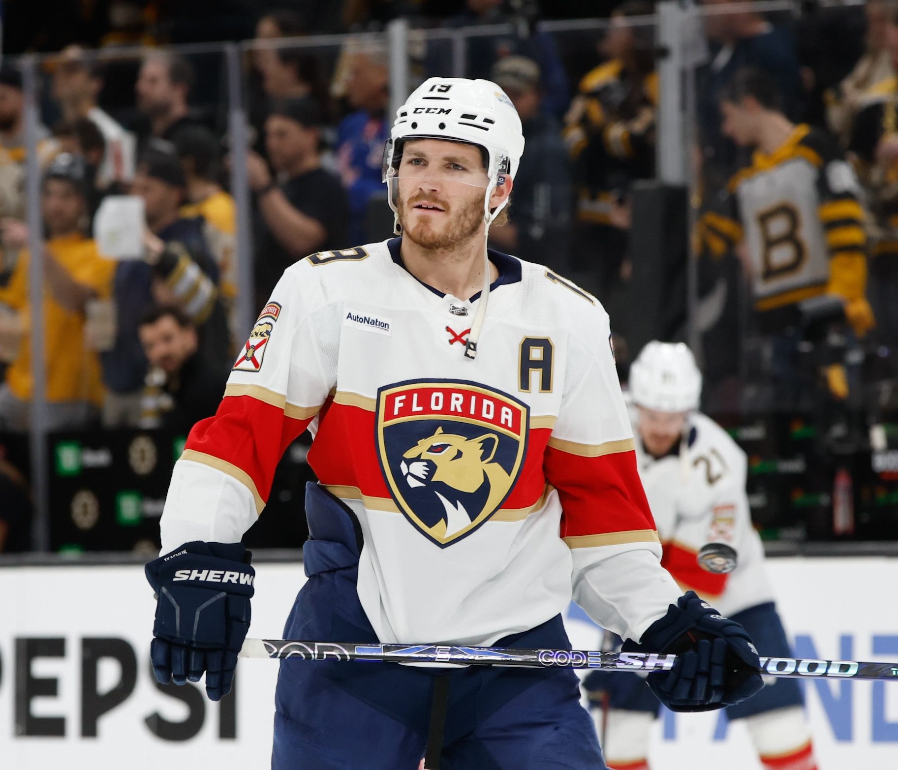 Team USA Hockey Stars Matthew and Brady Tkachuk's Family Guide